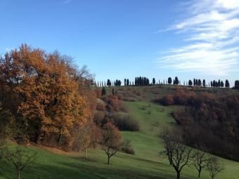 I pittoreschi mulini della Valle del Savena, a Bologna